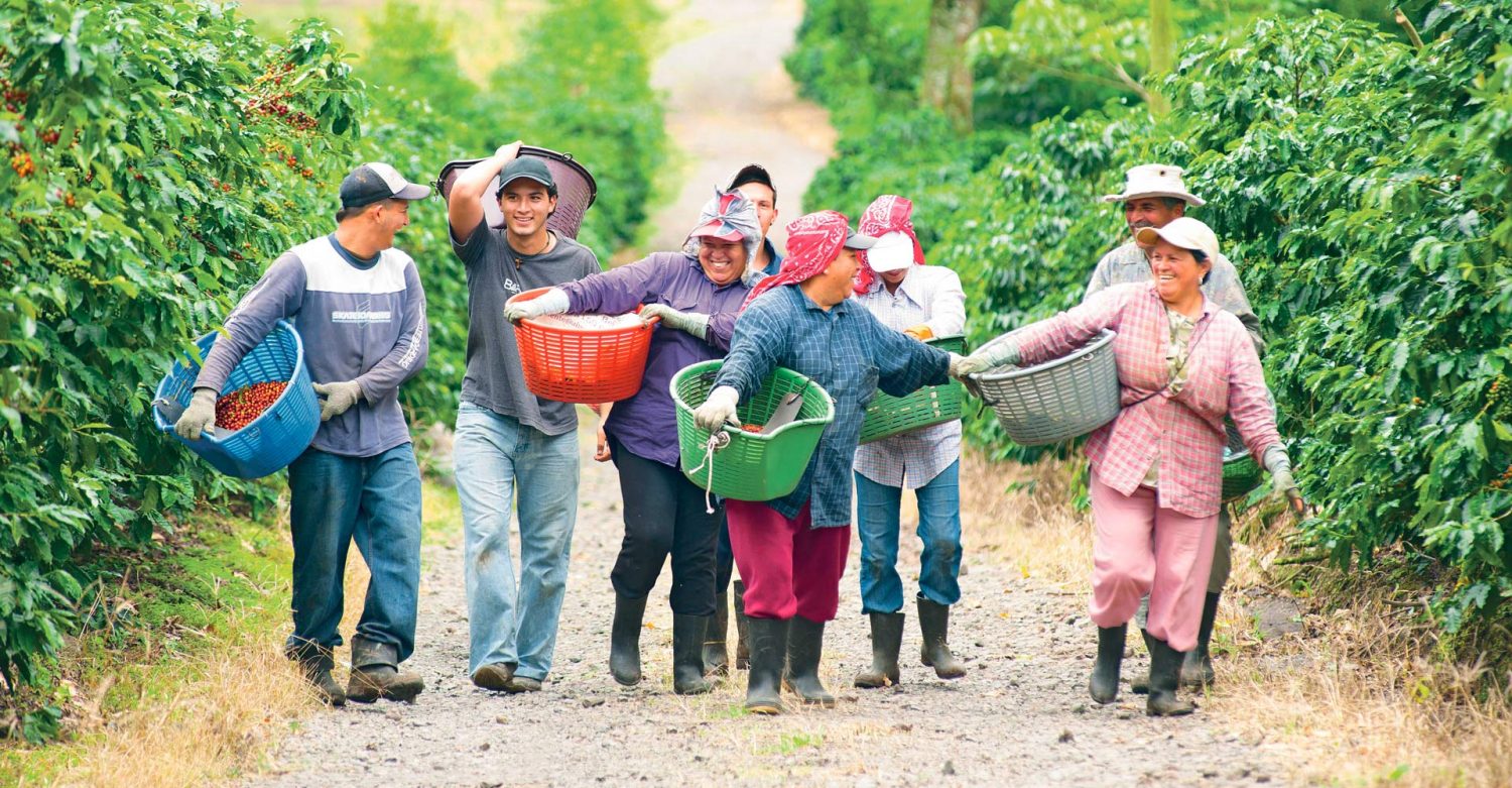 Cafe De Costa Rica – Indicación Geográfica