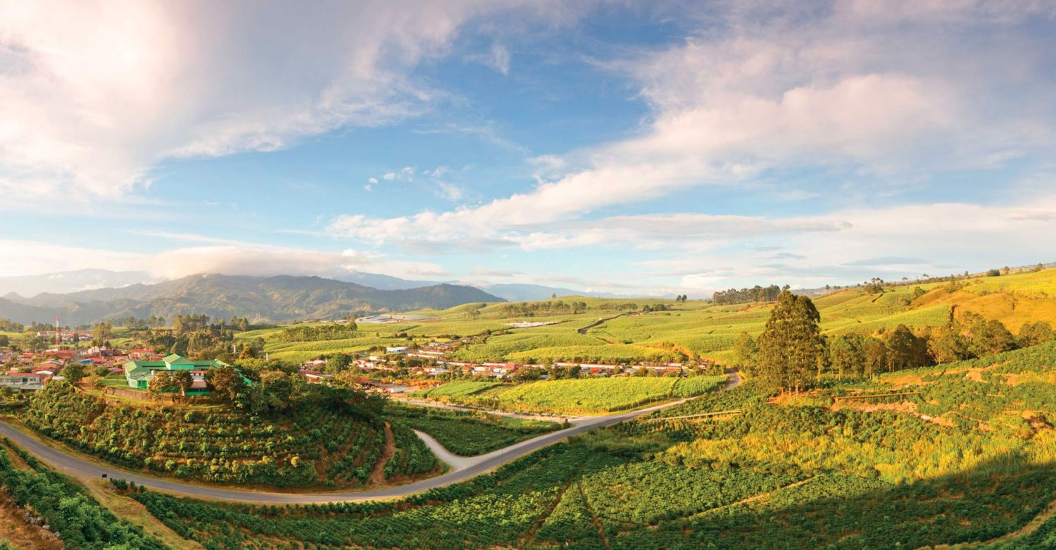 Cafe De Costa Rica – Indicación Geográfica